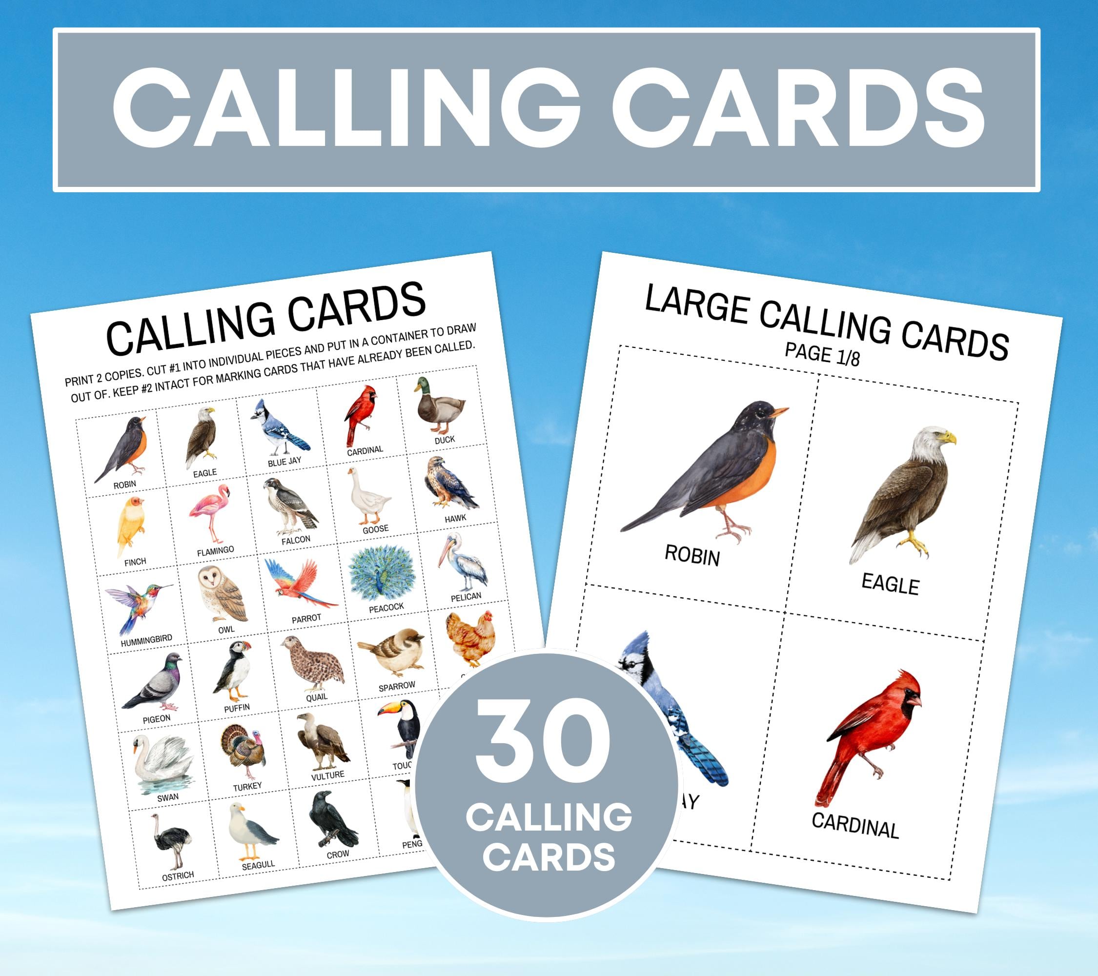 30 Bird Bingo Cards Printable Game, Bird Watching Bingo Activity Kids ...