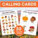 30 Fall Bingo Cards Printable Game, Fall Autumn Bingo Boards, Fall ...