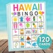 30 Luau Bingo Cards Printable Game, Aloha Hawaiian Birthday Party Bingo ...
