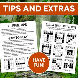 100 Dinosaur Bingo Cards Printable Game, Boy Dinosaur Birthday Party ...