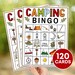 30 Carnival Bingo Cards Printable Game, Carnival Party Bingo Boards ...
