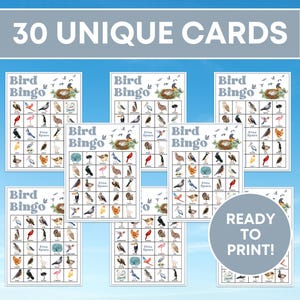 30 Bird Bingo Cards Printable Game, Bird Watching Bingo Activity Kids ...
