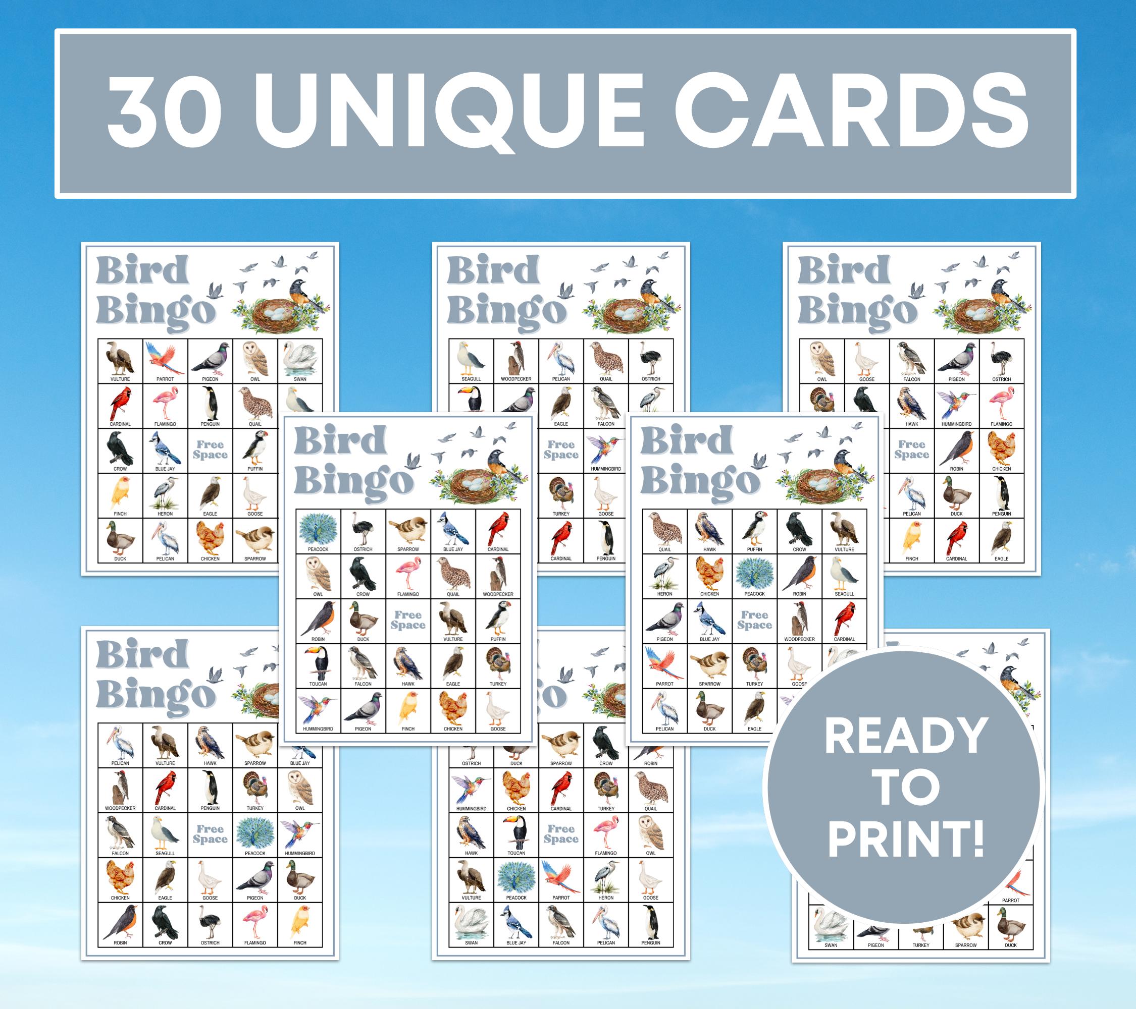 30 Bird Bingo Cards Printable Game, Bird Watching Bingo Activity Kids ...