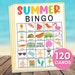 120 Summer Bingo Cards Printable Game, Summer Birthday Party Bingo Game ...