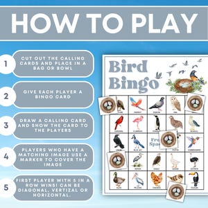 90 Bird Bingo Cards Printable Game, Bird Watching Bingo Activity Kids ...