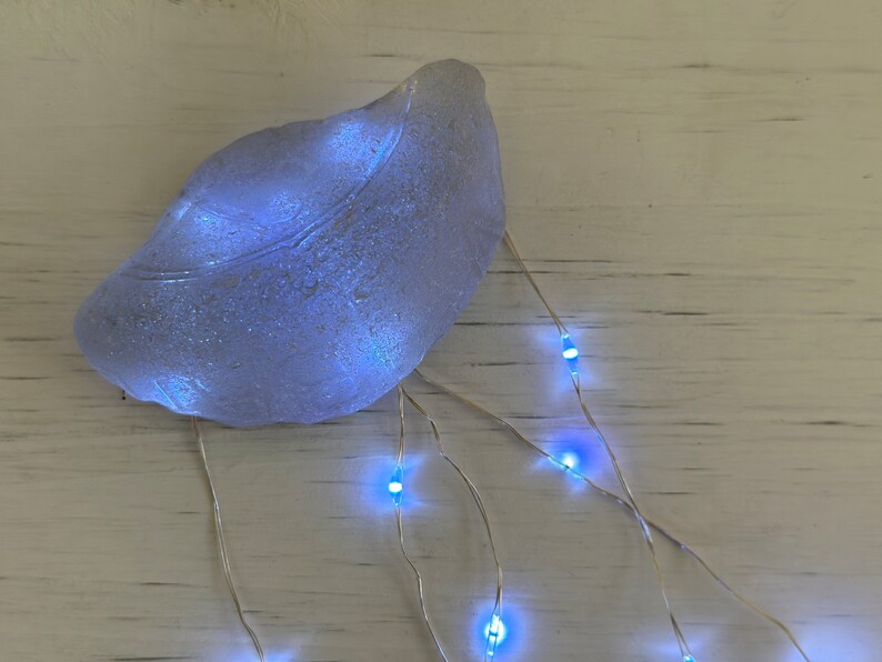 Lighted Sea Glass Jellyfish and Sea Shells 10x10 White Washed - Etsy