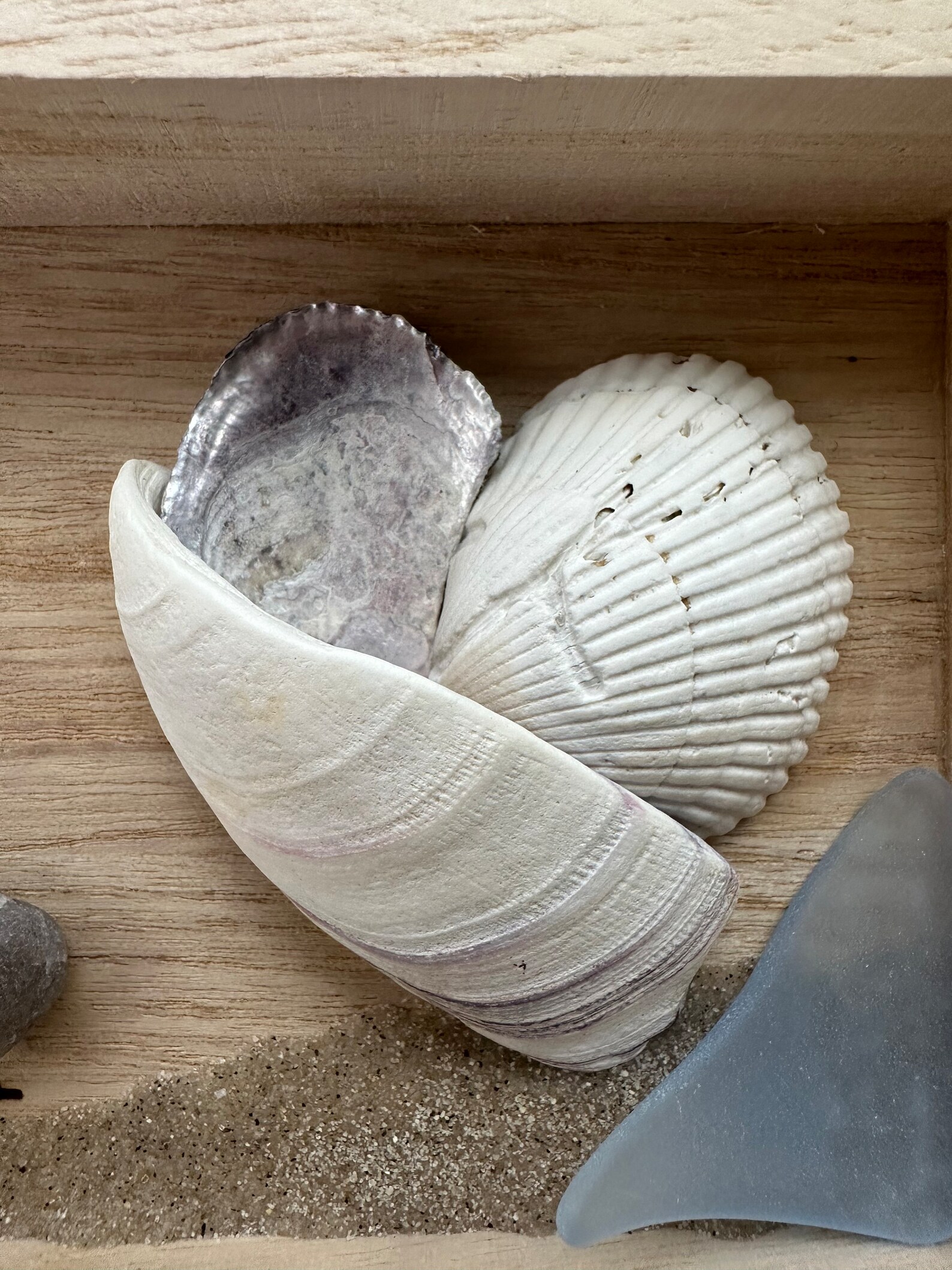 Cape Cod Shell Heart Sea Glass Art Valentine Gift - Etsy