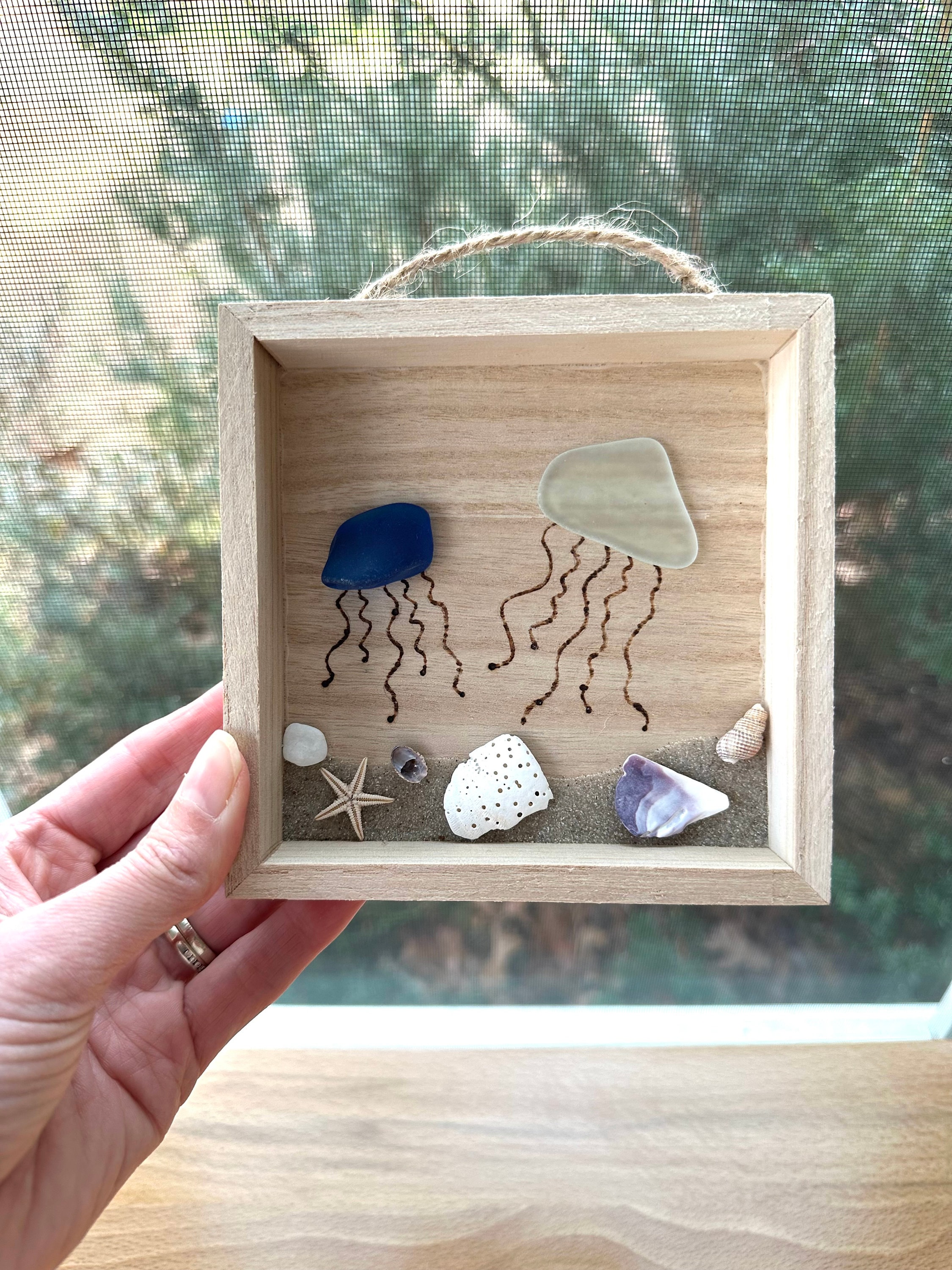 Sea Glass Jellyfish With Sea Shells Shadow Box Wall Hanging Cape Cod ...