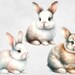 Realistic Rabbits Clipart, Nursery Art, Cute Woodland Animals Clip Art ...