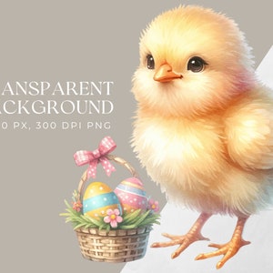 Spring Chick Clipart, SINGLE IMAGE, Adorable Baby Chicken PNG, Junk ...