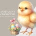 Spring Chick Clipart, SINGLE IMAGE, Adorable Baby Chicken PNG, Junk ...