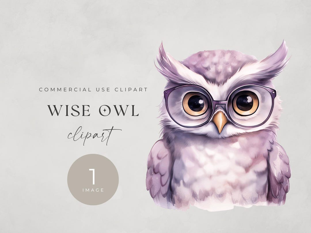 Wise Owl Clipart, SINGLE IMAGE, Adorable Watercolor PNG, Digital ...
