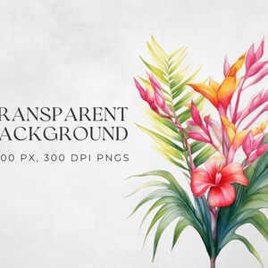 Watercolor Tropical Island Clipart, Hawaiian Plants Clip Art, Hawaii ...