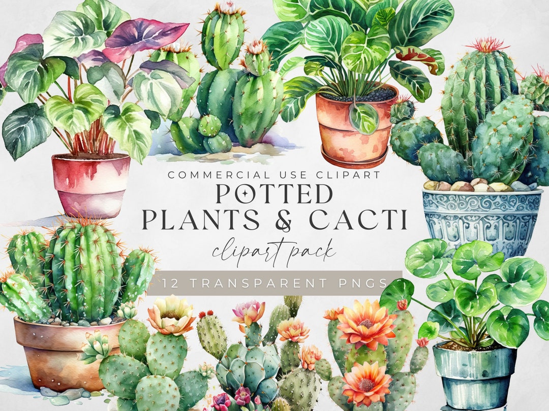 Potted Plants Watercolor Clipart, Greenery Print, House Plant PNG, Junk ...