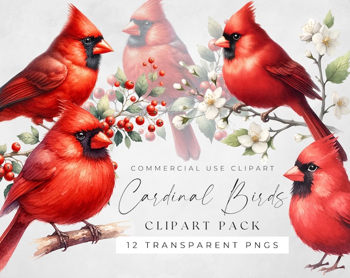 12 Red Cardinal Bird Clipart Watercolor Red Christmas Bird Holiday ...