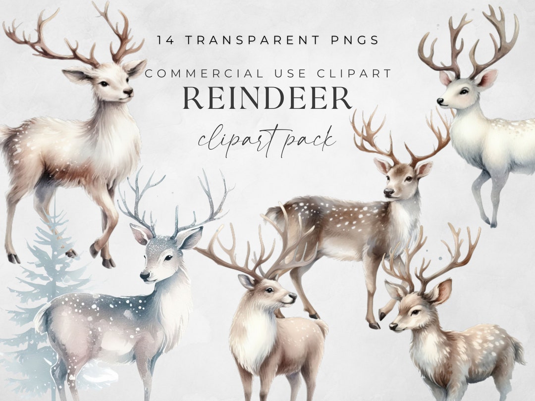 Watercolor Reindeer Clipart: Winter PNG Graphics (digital Download) - Etsy
