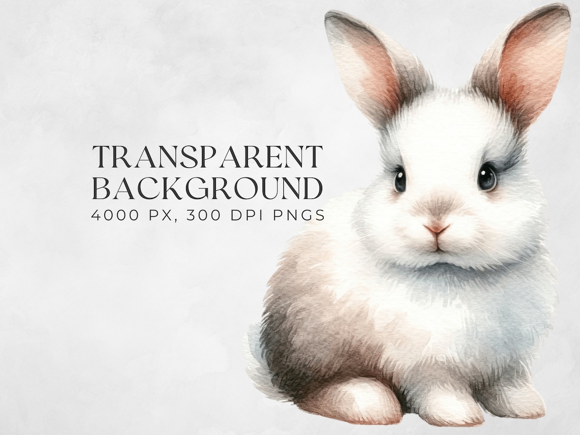 Realistic Rabbits Clipart, Nursery Art, Cute Woodland Animals Clip Art ...