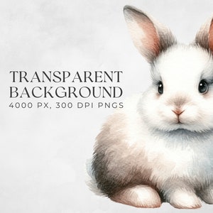 Realistic Rabbits Clipart, Nursery Art, Cute Woodland Animals Clip Art ...