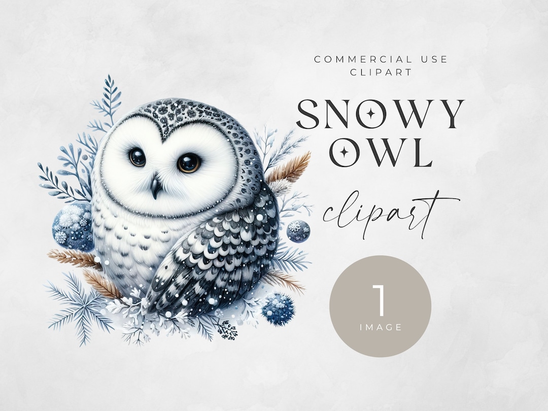 Winter Owl Clipart, SINGLE IMAGE Watercolor Snow Owl Clip Art, Nursery ...
