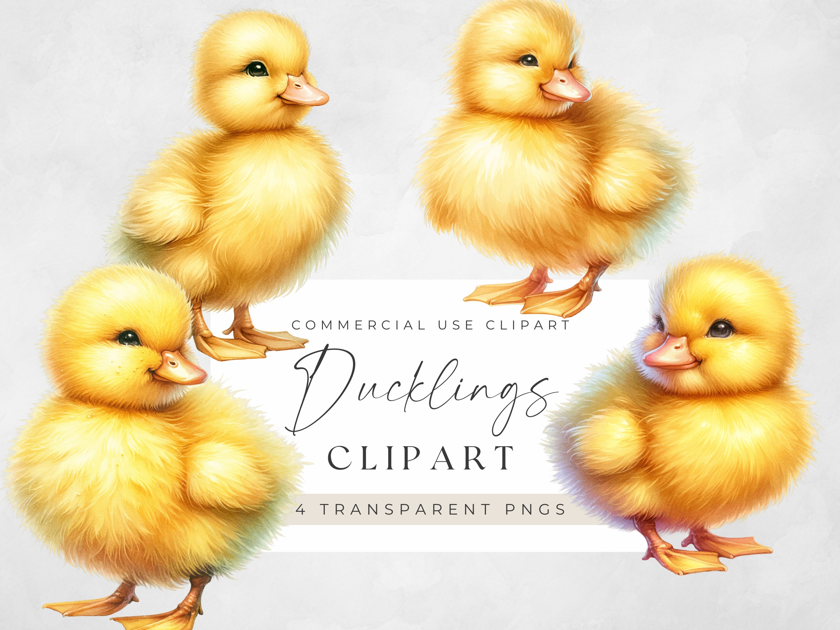 Baby Ducks Clipart, Spring Clip Art, Transparent Background, Farm ...