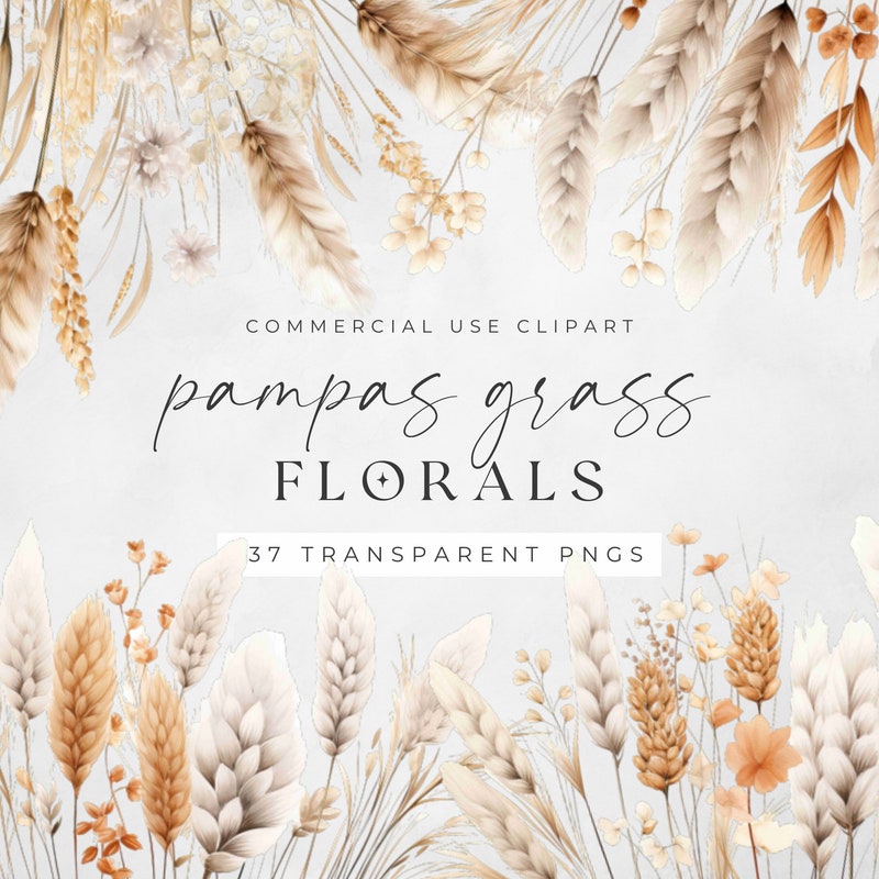 Pampas Grass Clipart - Etsy