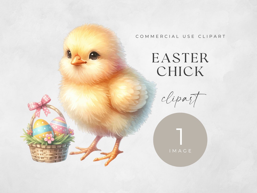 Spring Chick Clipart, SINGLE IMAGE, Adorable Baby Chicken PNG, Junk ...