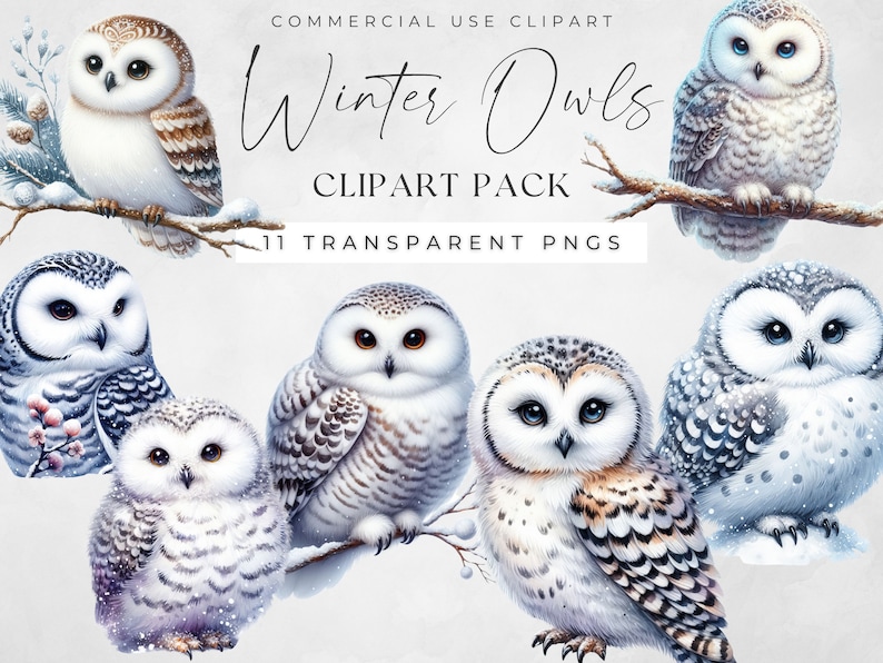 Winter Owl Clipart Watercolor Snow Owl Clip Art Nursery - Etsy