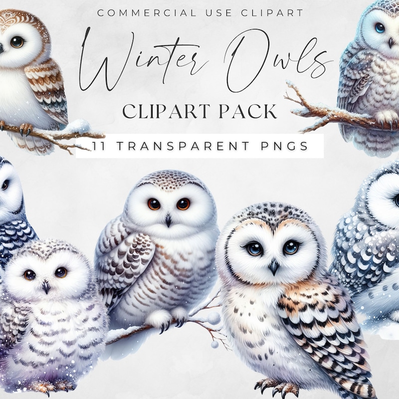 Snowy Owl Clipart - Etsy