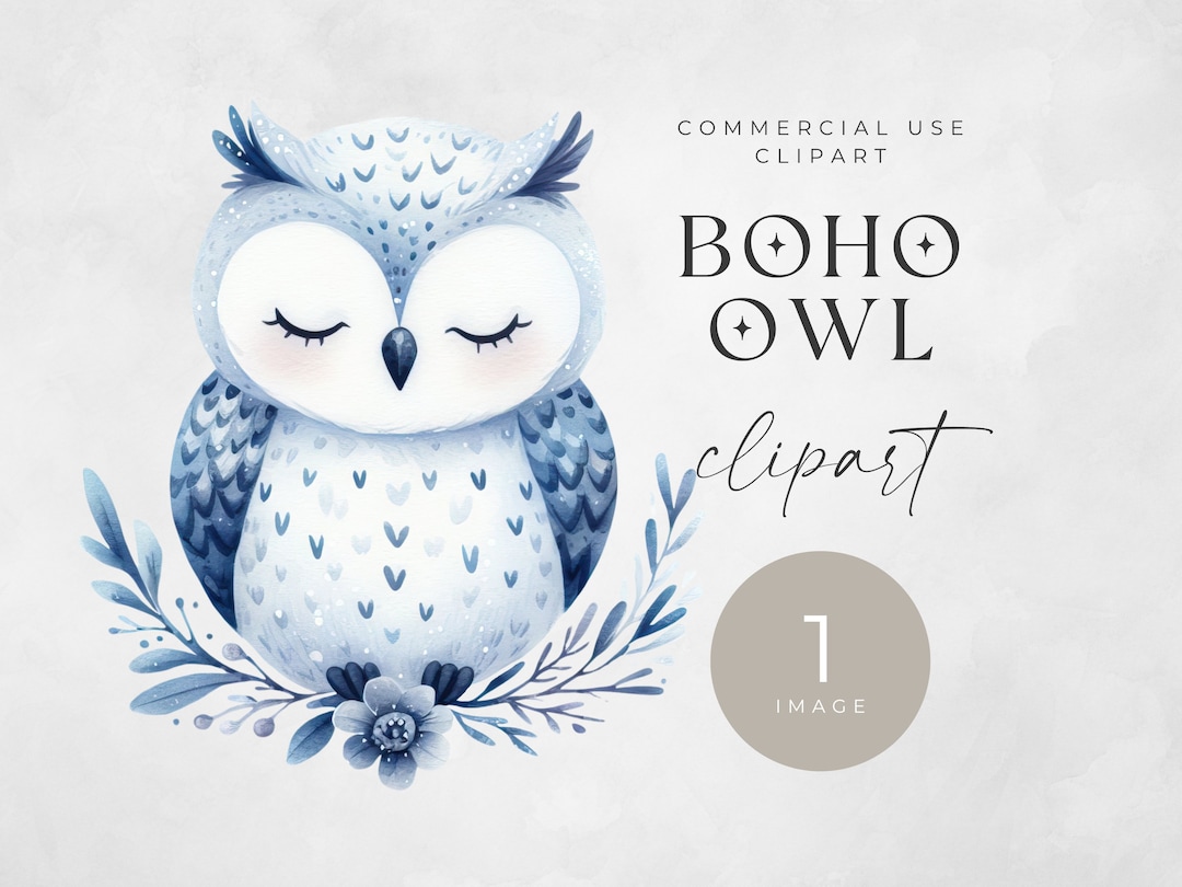 Winter Owl Clipart, SINGLE IMAGE Watercolor Snow Owl Clip Art, Nursery ...