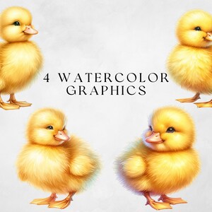 Baby Ducks Clipart, Spring Clip Art, Transparent Background, Farm ...