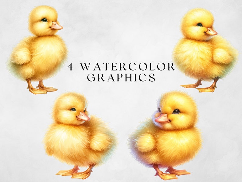 Baby Ducks Clipart, Spring Clip Art, Transparent Background, Farm ...