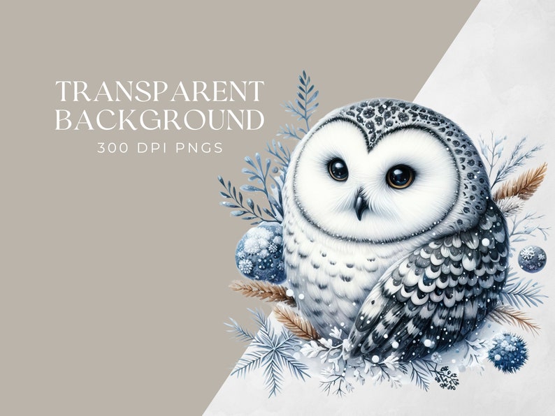Winter Owl Clipart, SINGLE IMAGE Watercolor Snow Owl Clip Art, Nursery ...