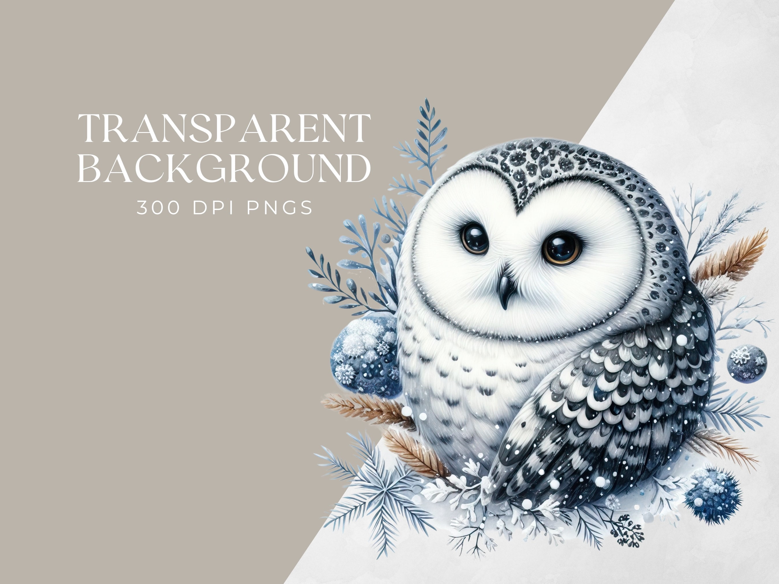 Winter Owl Clipart, SINGLE IMAGE Watercolor Snow Owl Clip Art, Nursery ...