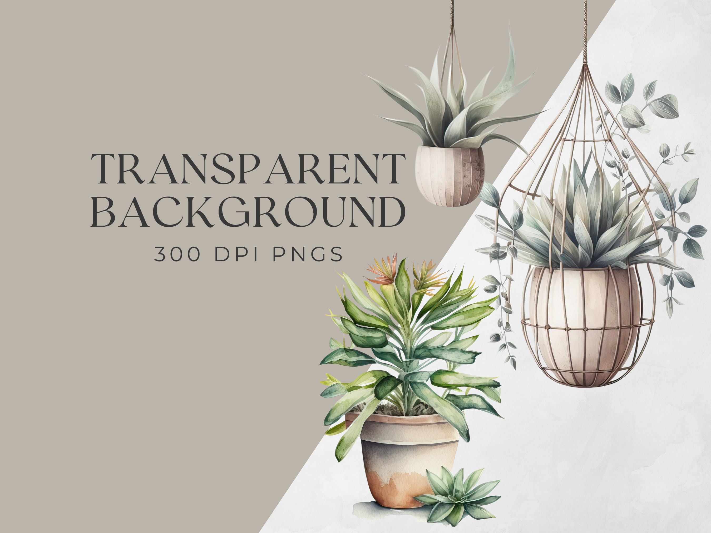 Hanging Plants Clipart, Watercolor Potted Plant, Houseplants Instant ...