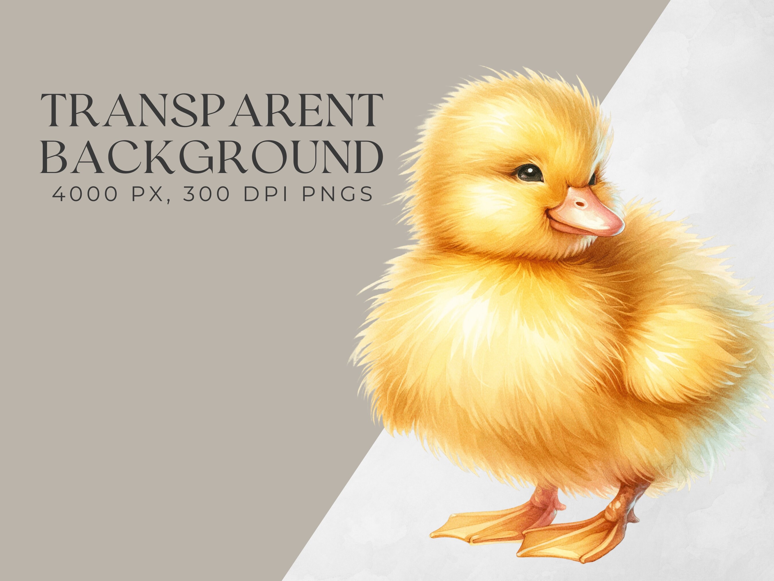 Baby Ducks Clipart, Spring Clip Art, Transparent Background, Farm ...