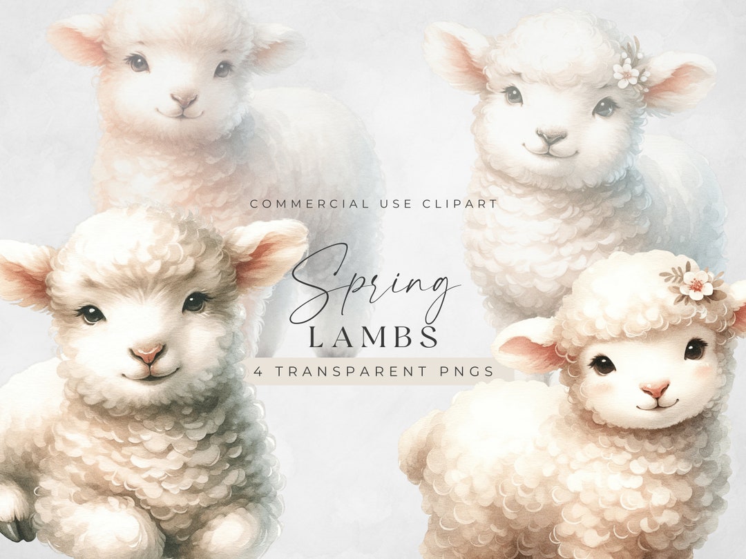 Spring Lamb PNG, Cute Animals Clipart, Spring Clip Art, Transparent ...