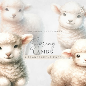 Spring Lamb PNG, Cute Animals Clipart, Spring Clip Art, Transparent ...