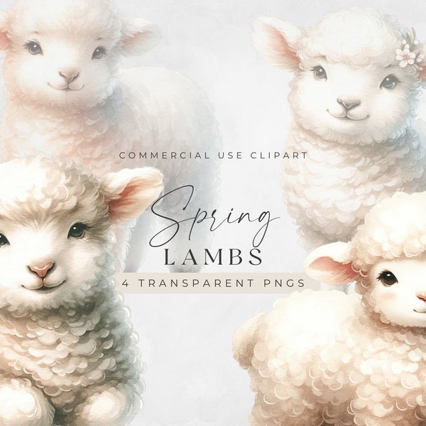 Spring Clip Art - Etsy