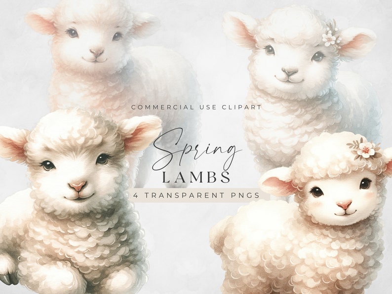 Spring Lamb PNG, Cute Animals Clipart, Spring Clip Art, Transparent ...