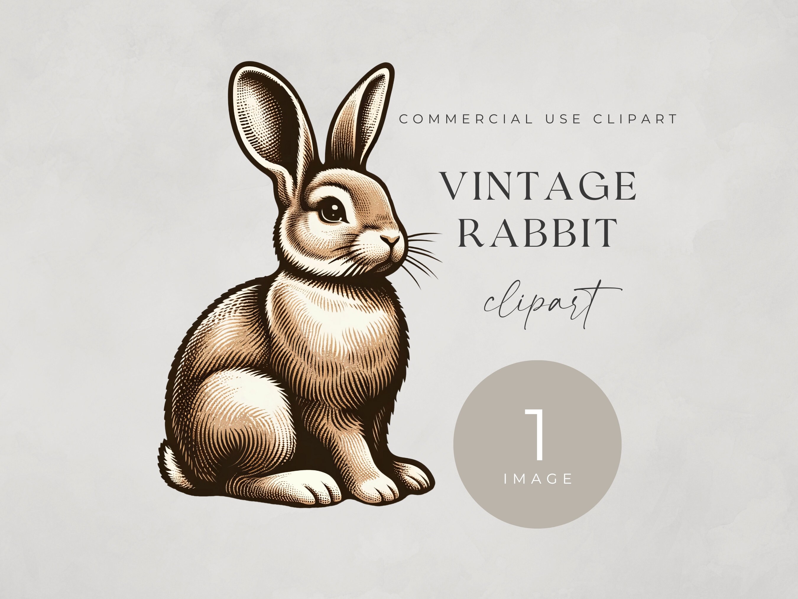 Vintage Bunny Clipart, SINGLE IMAGE, Classic Rabbit PNG, Paper Crafts ...