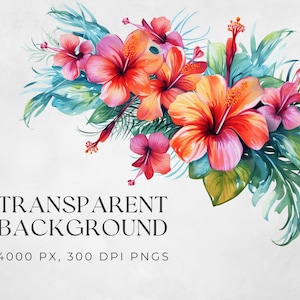 Watercolor Tropical Floral Clipart, Hawaiian Plants Clip Art, Hawaii ...