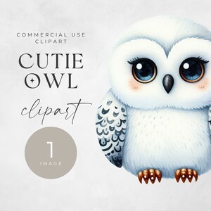 Winter Owl Clipart, SINGLE IMAGE Watercolor Snow Owl Clip Art, Nursery ...