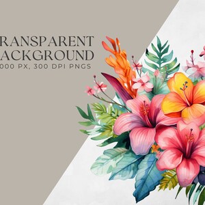 Watercolor Tropical Floral Clipart, Hawaiian Clip Art, Hawaii Hibiscus ...