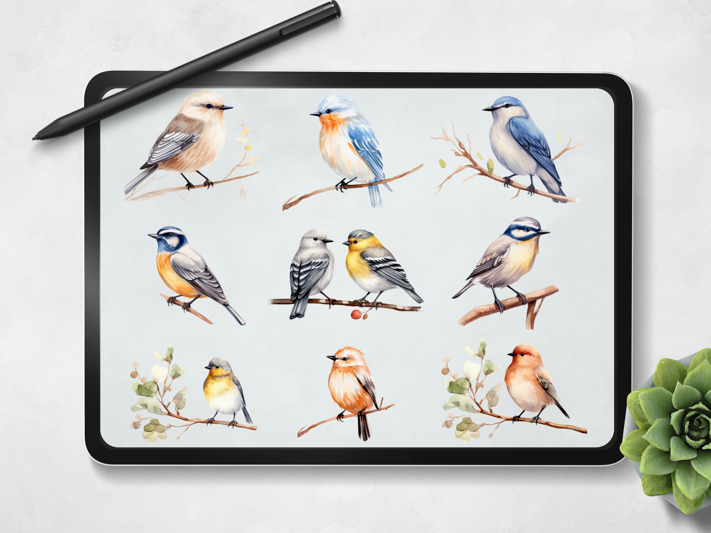 Bird Watcher Digital Stickers, Pre-cropped PNG Files, Cute Bird Lover ...