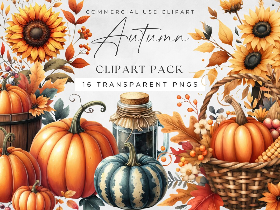 Autumn Watercolor Clipart: Boho Fall PNG Graphics (digital Download) - Etsy
