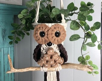 Macrame Owl Plant Hanger - Etsy