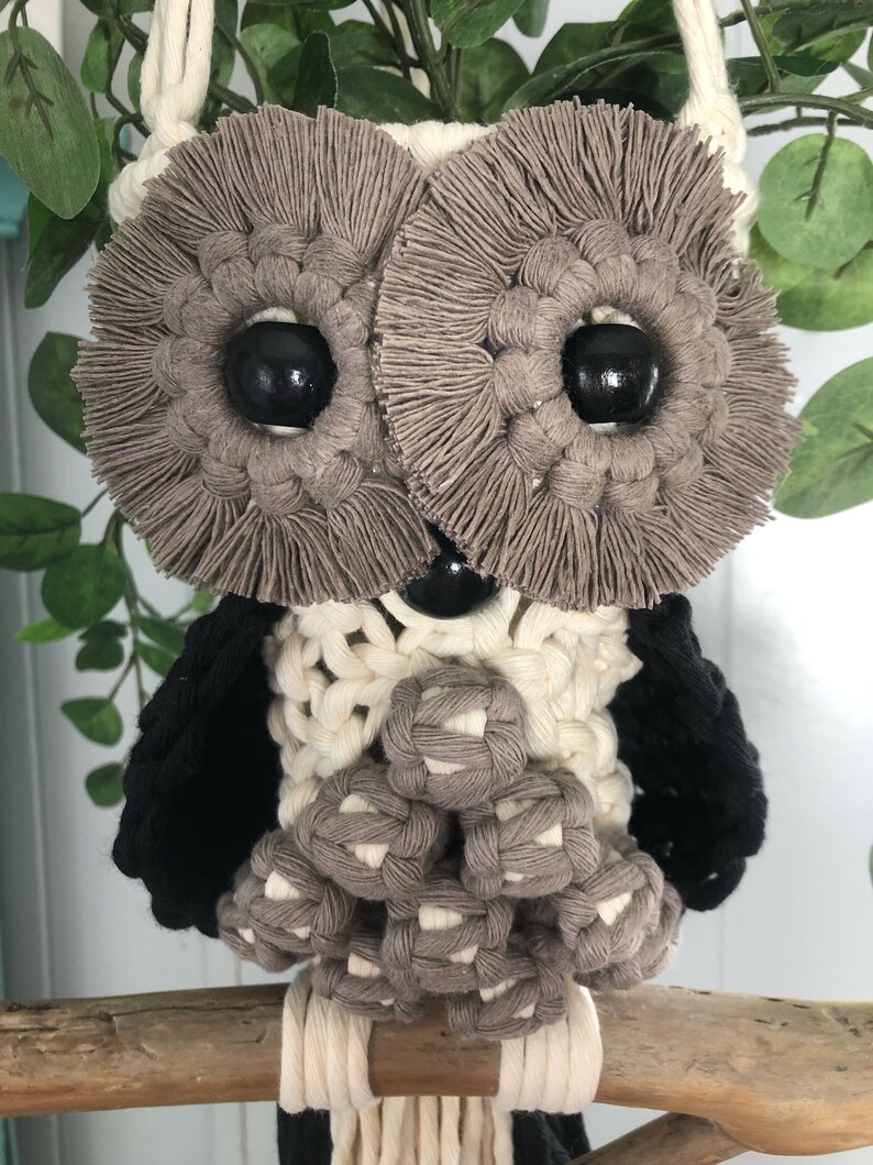 Macrame Owl Plant Hanger - Etsy