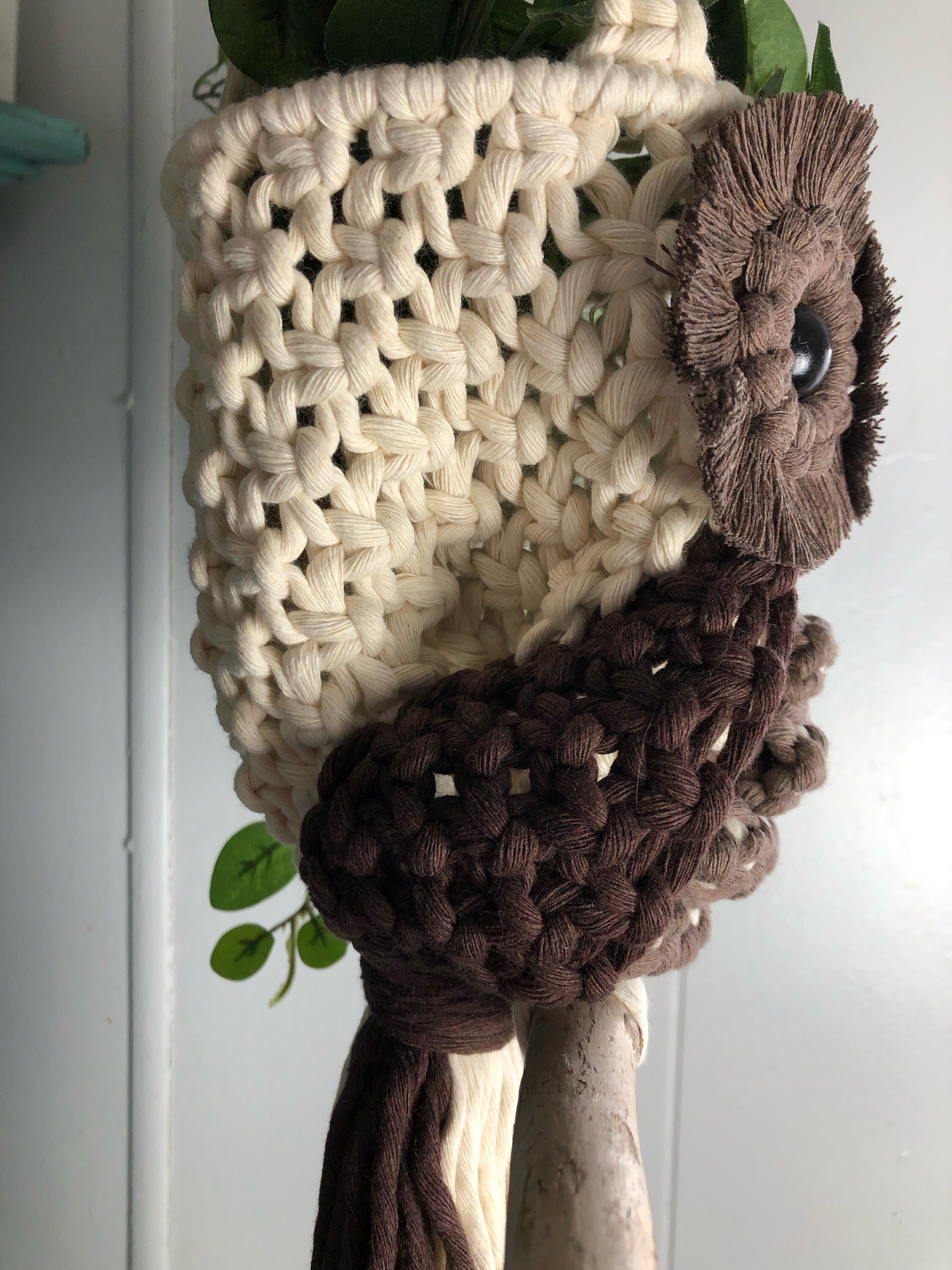 Macrame Owl Plant Hanger - Etsy