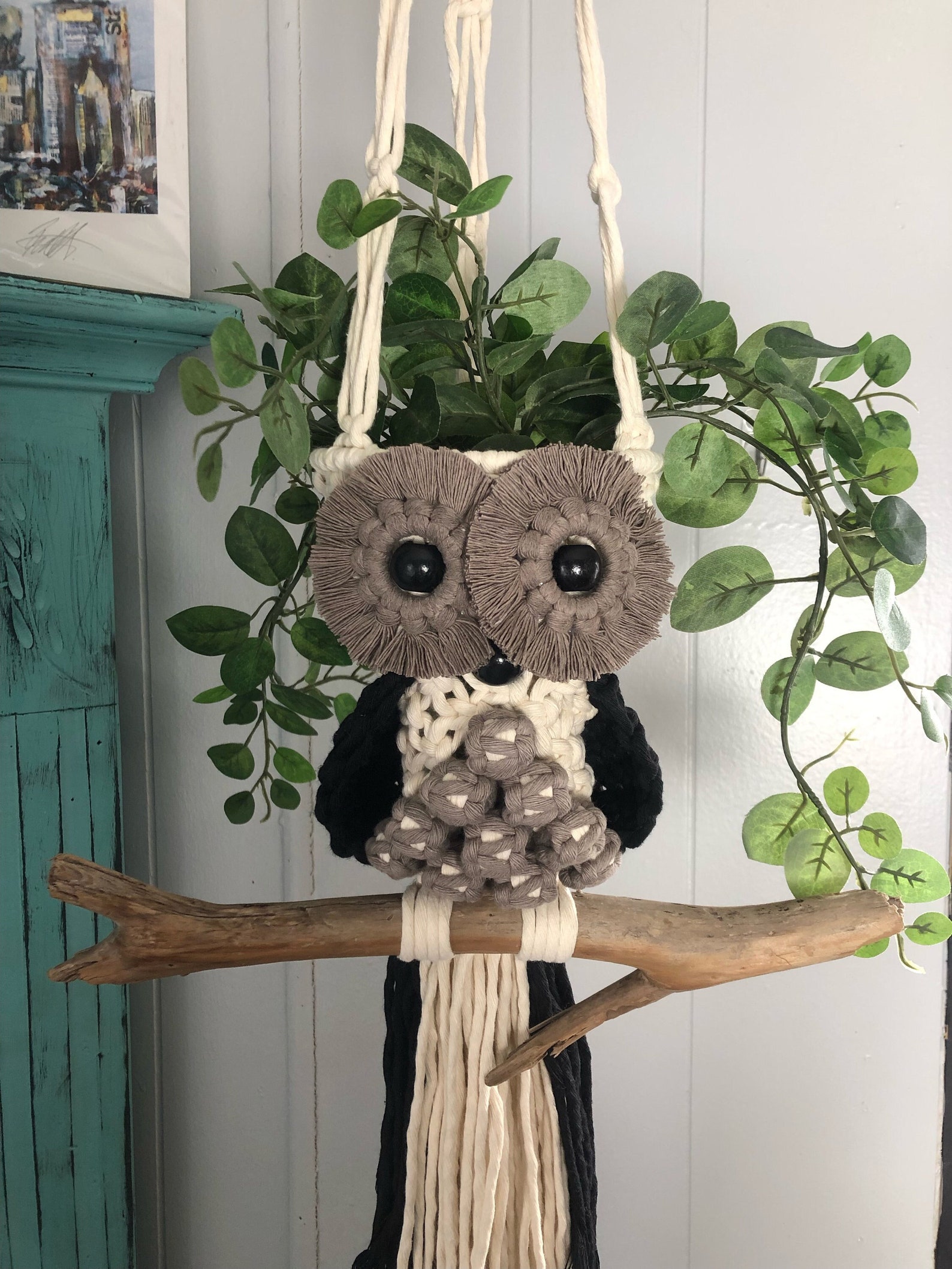 Macrame Owl Plant Hanger - Etsy