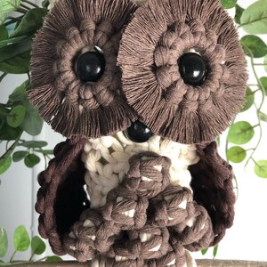 Macrame Owl Plant Hanger - Etsy